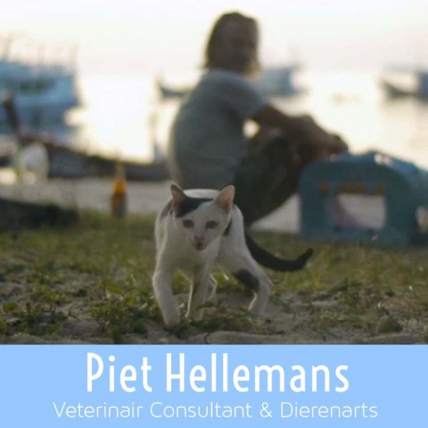 Piet Hellemans | Dierenarts & Veterinair Consultant